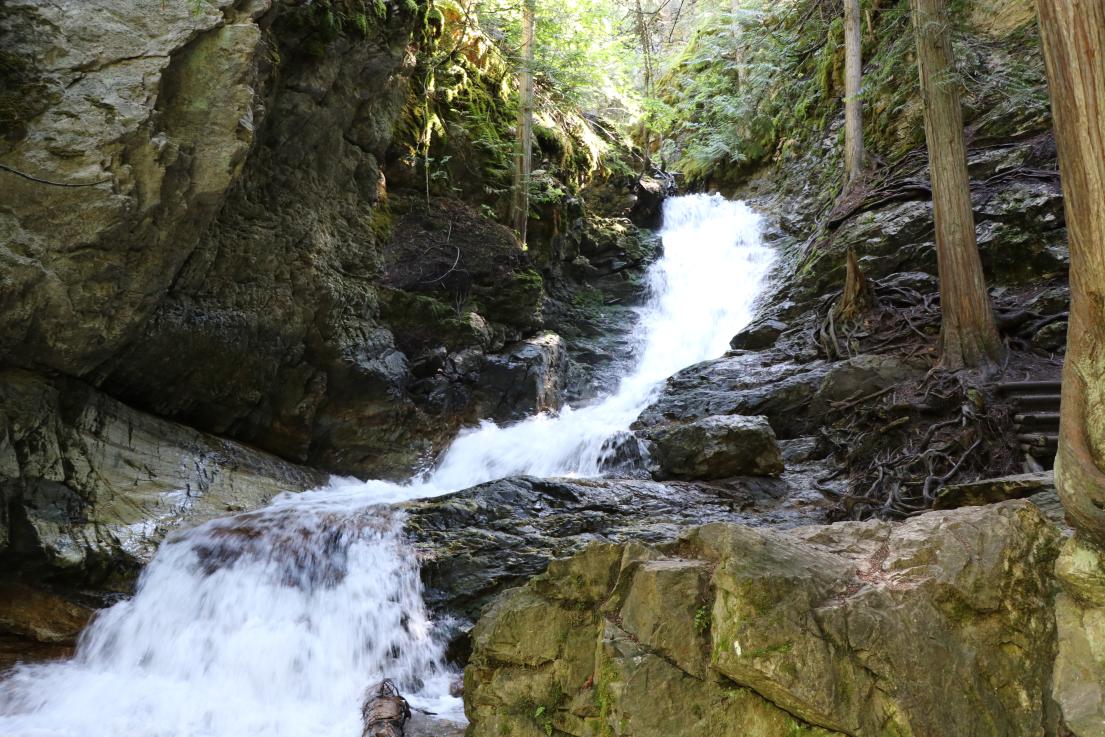 BX Creek Trail | Regional District of North Okanagan
